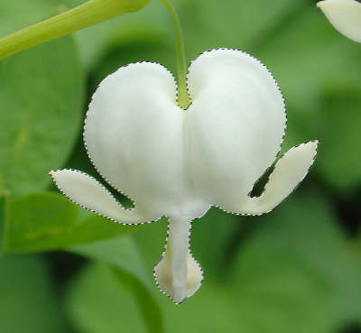 Alpha Channels: An Introduction | Photoshop Tips